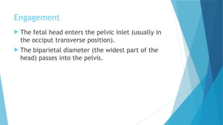 Cardinal movements of labor presentation | PPT