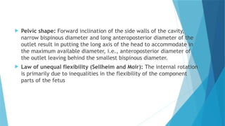 Cardinal movements of labor presentation | PPT