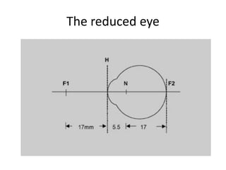 Cardinal points | PPTX