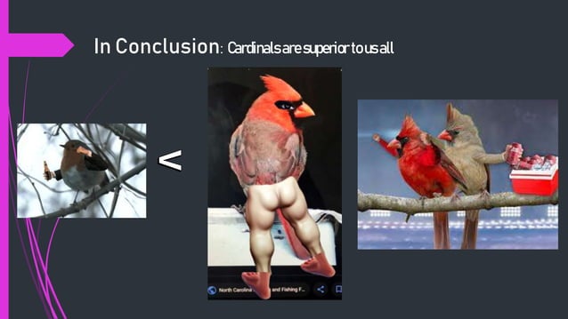 Cardinal Presentation.pptx