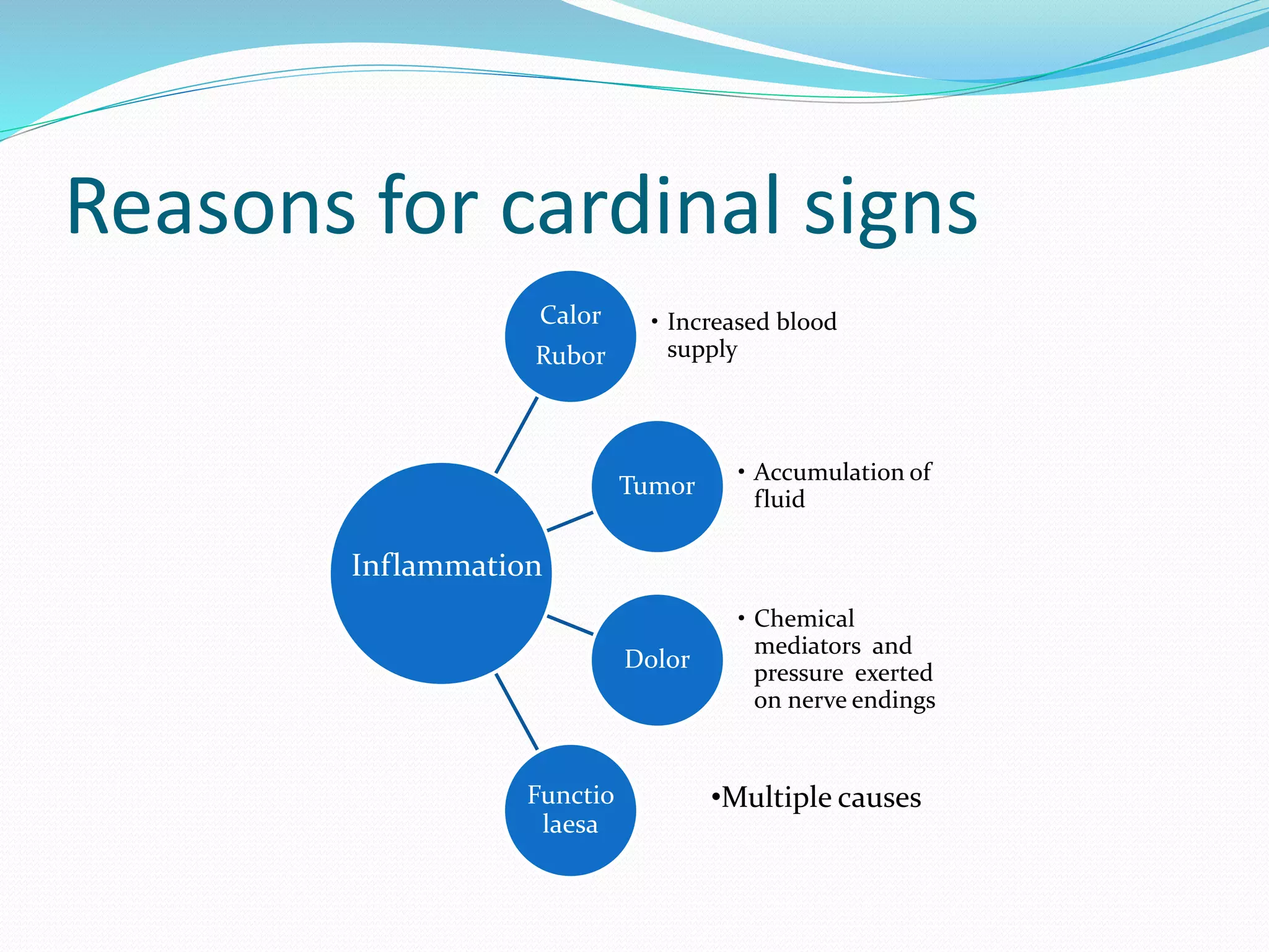 Cardinal signs of_inflammation (1) | PPTX