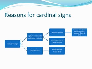 Cardinal signs of_inflammation (1) | PPTX