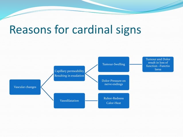Cardinal signs of_inflammation (1) | PPTX | Heart and Cardiovascular ...