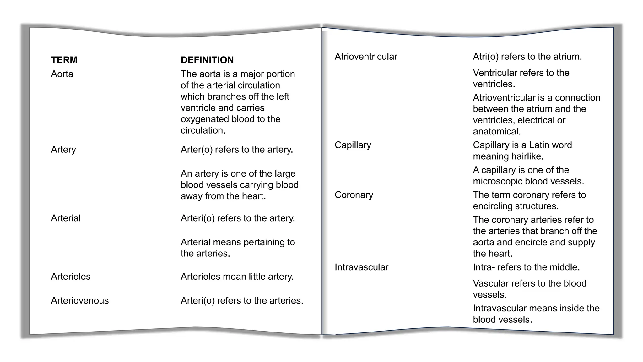 CARDIOVASCULAR SYSTEM (HEART AND BLOOD VESSEL).pptx