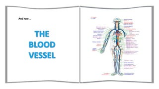 CARDIOVASCULAR SYSTEM (HEART AND BLOOD VESSEL).pptx