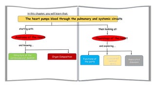 CARDIOVASCULAR SYSTEM (HEART AND BLOOD VESSEL).pptx
