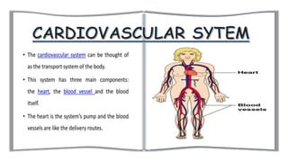 CARDIOVASCULAR SYSTEM (HEART AND BLOOD VESSEL).pptx