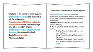 CARDIOVASCULAR SYSTEM (HEART AND BLOOD VESSEL).pptx