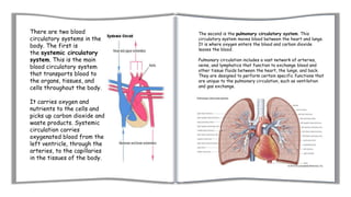 CARDIOVASCULAR SYSTEM (HEART AND BLOOD VESSEL).pptx