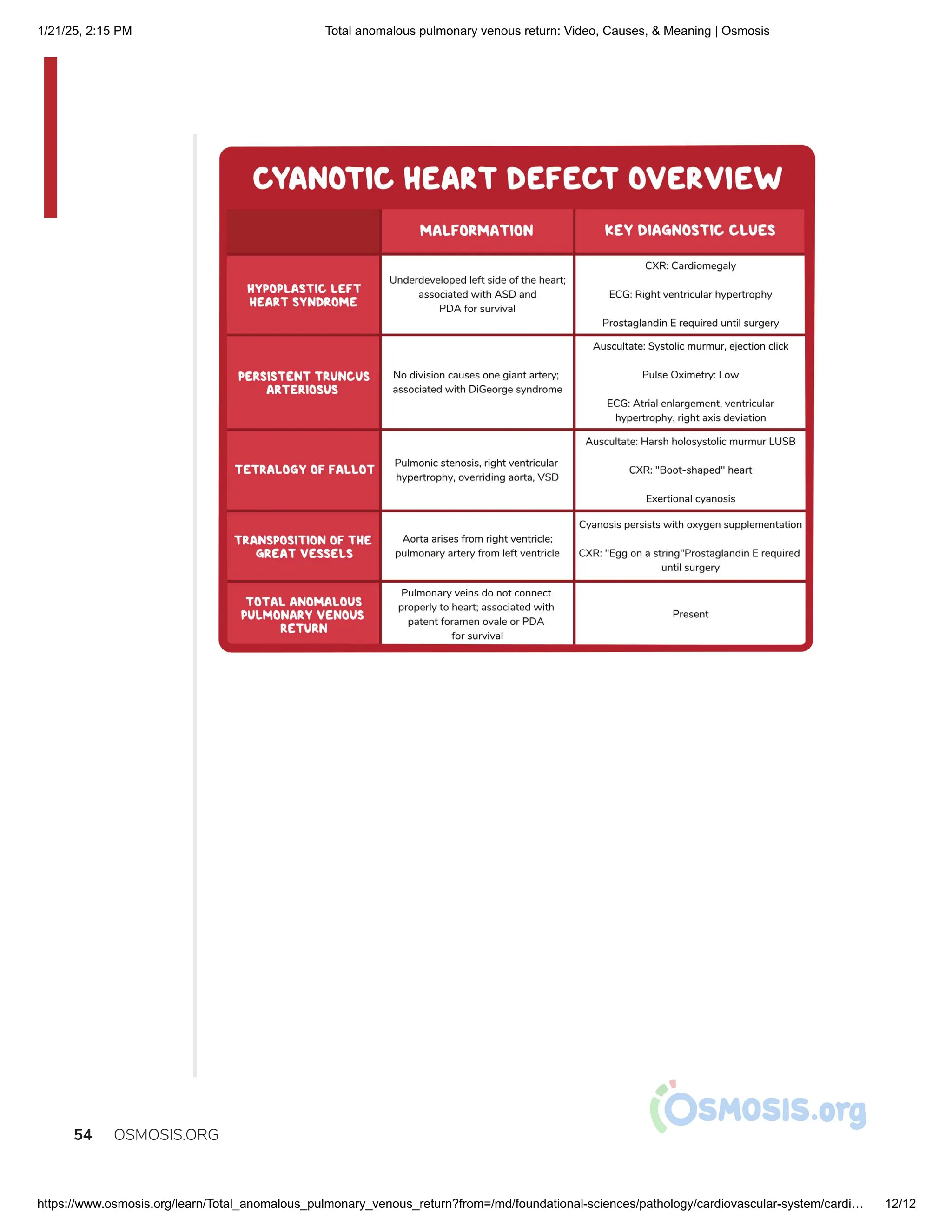 cardio.pdf osmosis............................... | PDF
