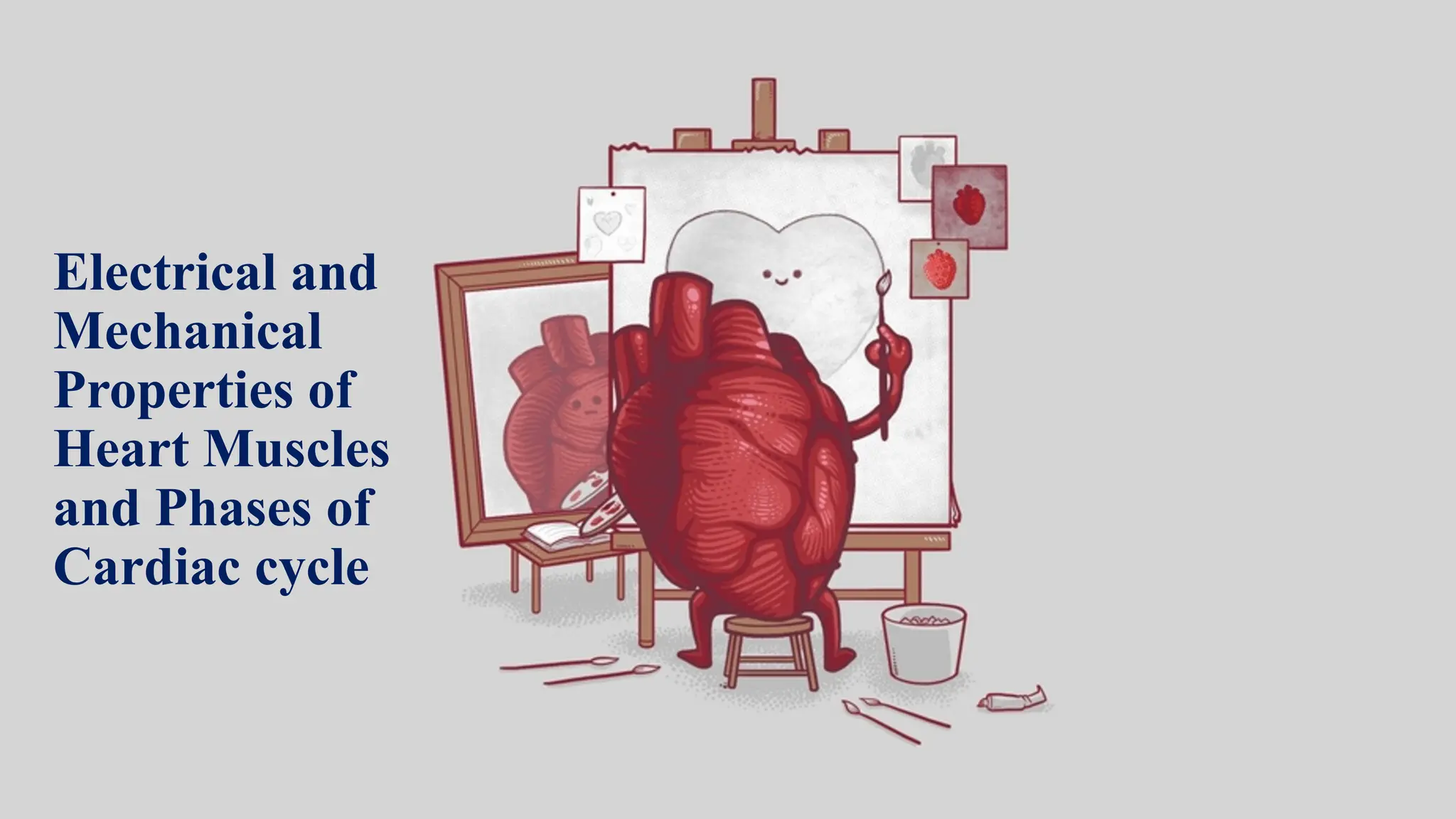 Electrical and mechanical properties of heart muscles and phases of ...