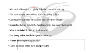 Electrical and mechanical properties of heart muscles and phases of ...