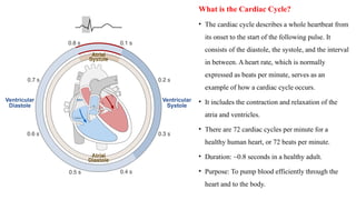 Electrical and mechanical properties of heart muscles and phases of ...