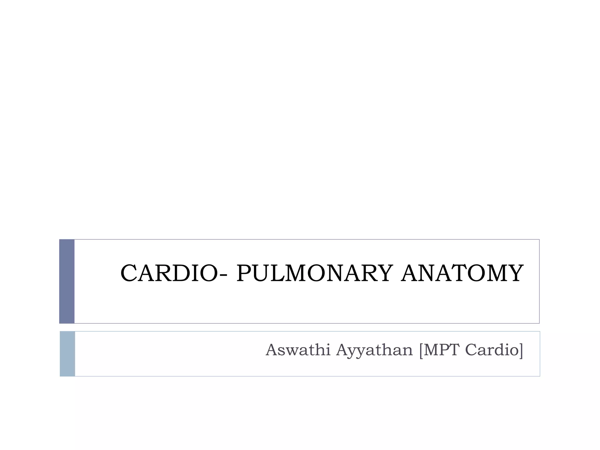 Cardio pulmonary anatomy basics for physical therapy ppt | PPT