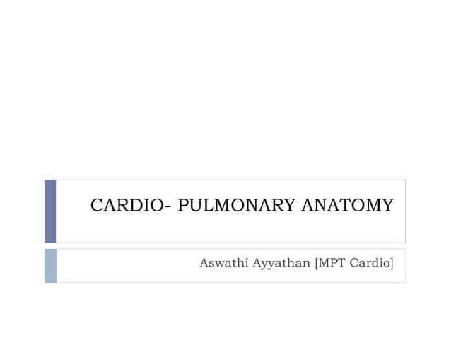 Cardio pulmonary anatomy basics for physical therapy ppt | PPT