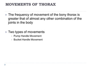 Cardio pulmonary anatomy basics for physical therapy ppt | PPT