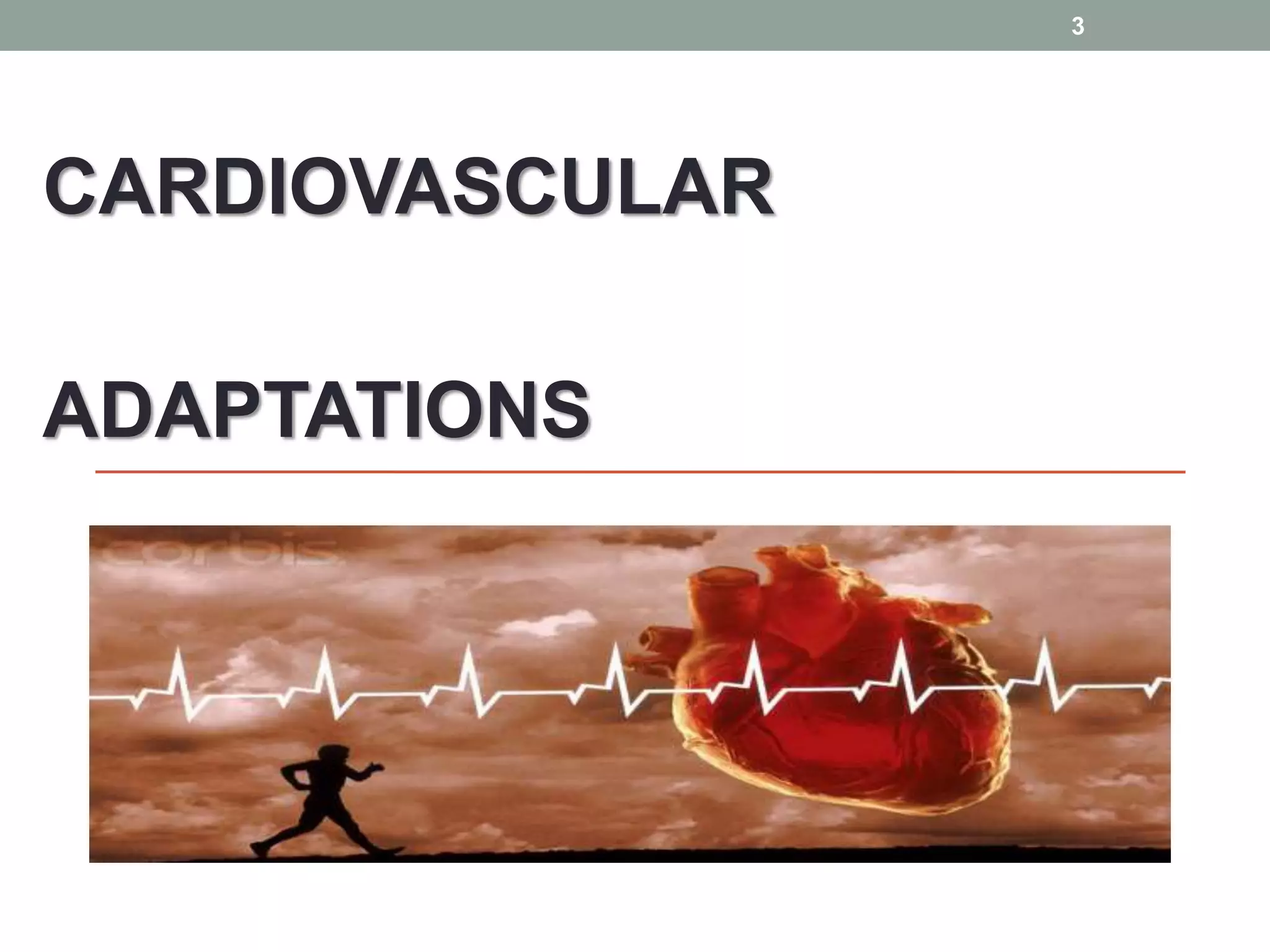 Cardio respiratory adaptations to exercise training | PPTX