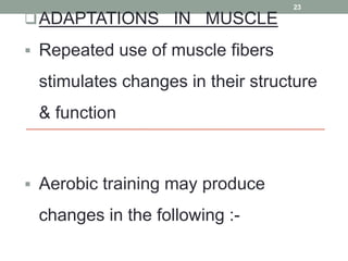 Cardio respiratory adaptations to exercise training | PPTX