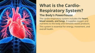 Understanding the Cardio-Respiratory System: Heart, Lungs, and Exercise ...