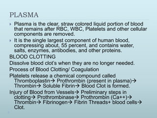 Cardio vascular system | PPTX