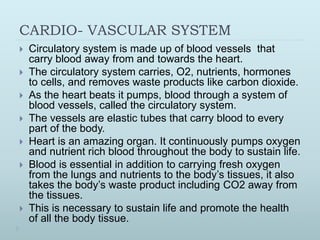 Cardio vascular system | PPT