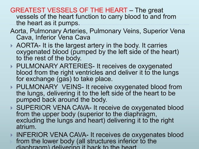 Cardio vascular system | PPT