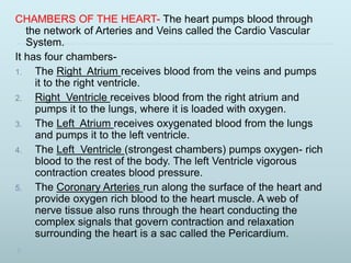 Cardio vascular system | PPT