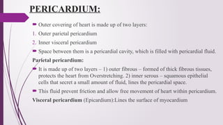 ANATOMY AND PHYSIOLOGY OF CARDIO- VASCULAR SYSTEM.pptx