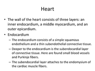 histology of Cardio vascular system 1 | PPT
