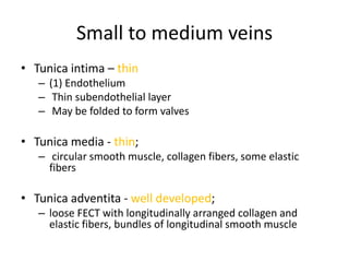 histology of Cardio vascular system 2 | PDF