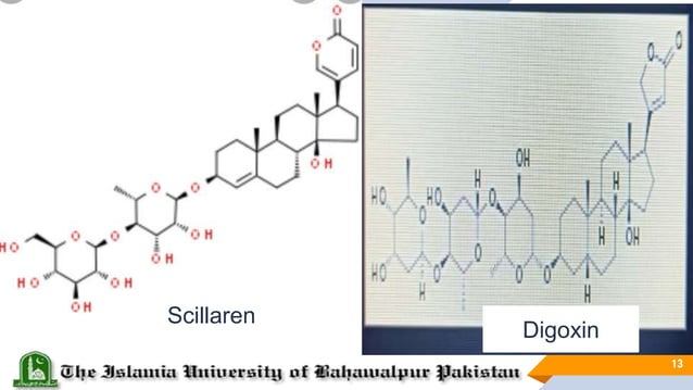 Cardioactive glycosides ppt.pptx