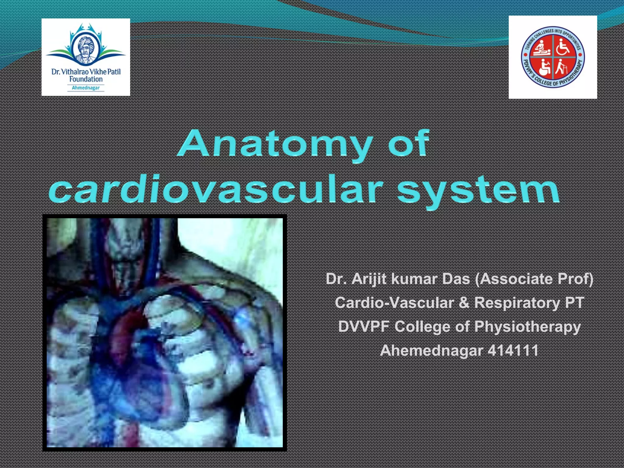 anatomy of cardiovascular system | PPT