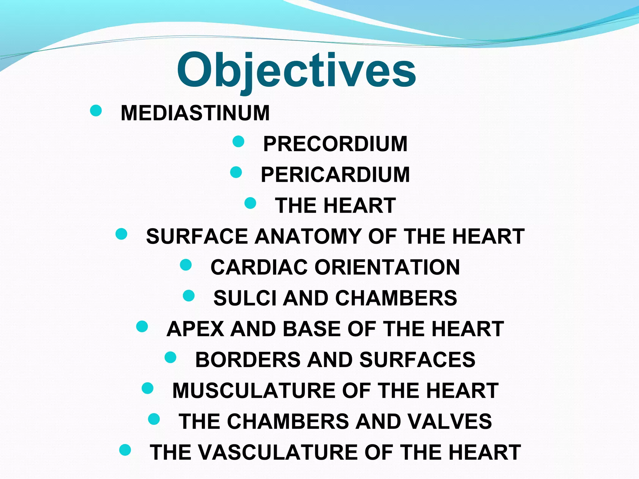 anatomy of cardiovascular system | PPT