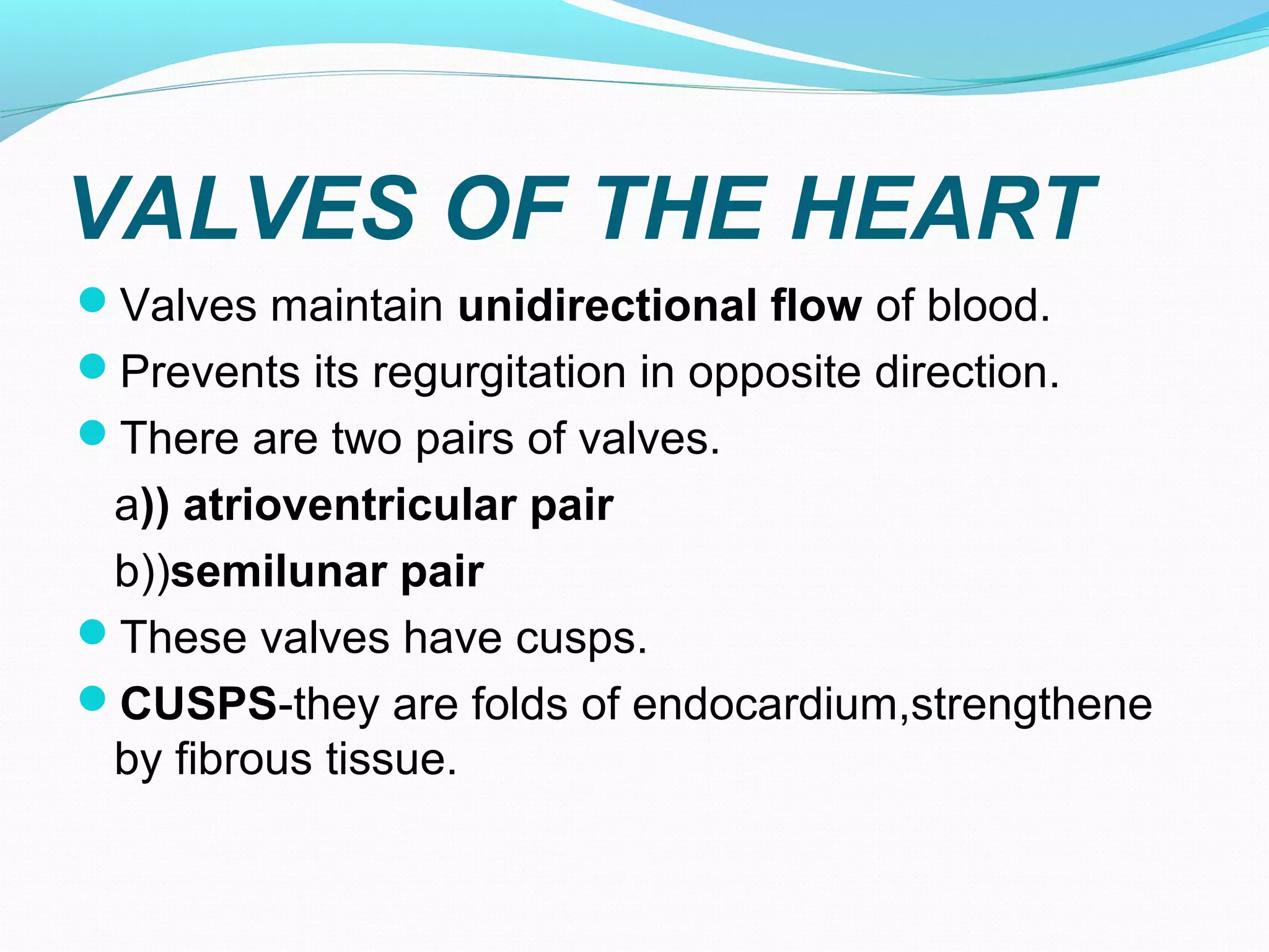 anatomy of cardiovascular system | PPT