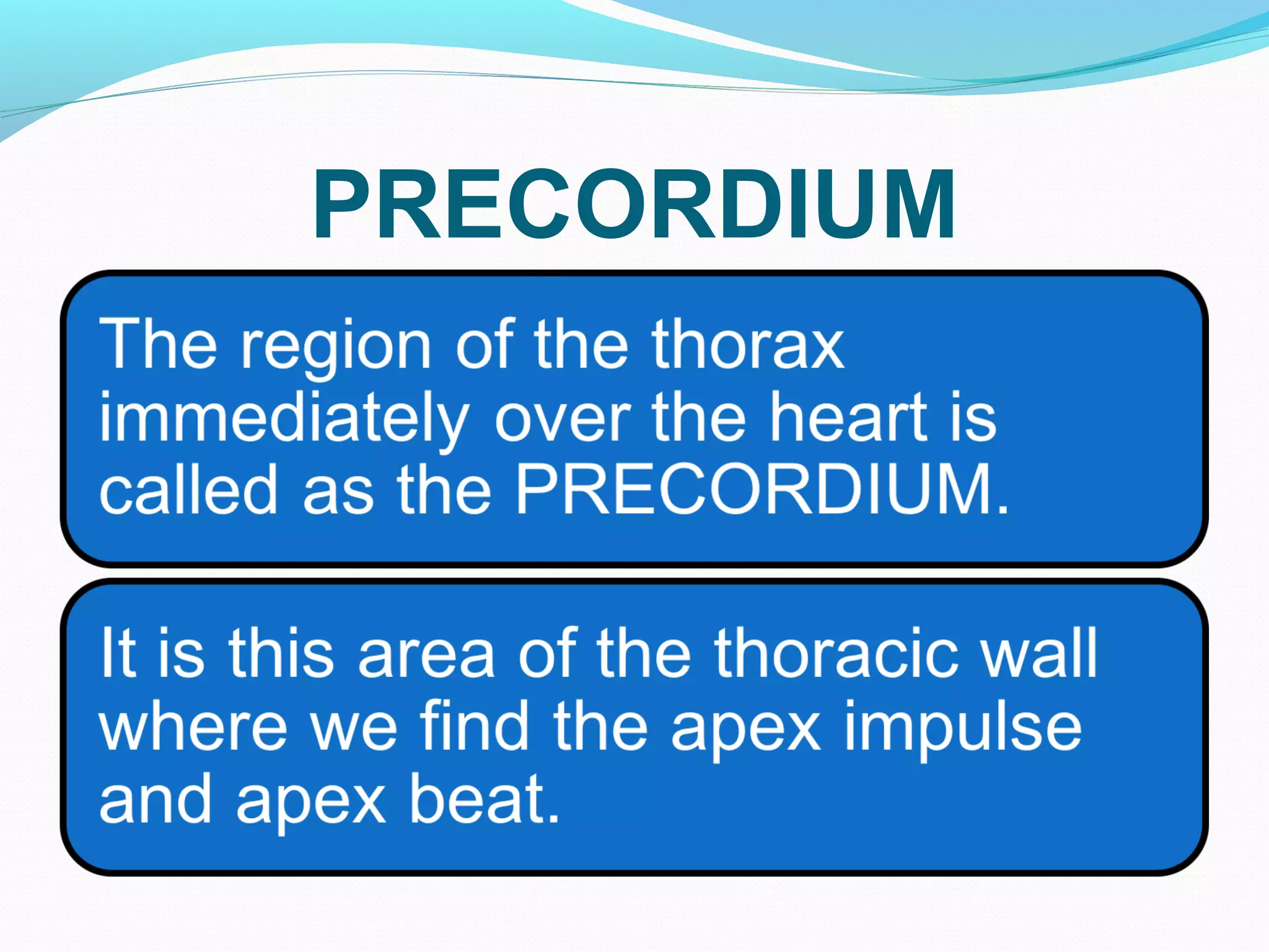 anatomy of cardiovascular system | PPT