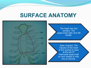 anatomy of cardiovascular system | PPT