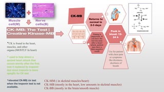 Cardiac Biomarkers tests | PPTX