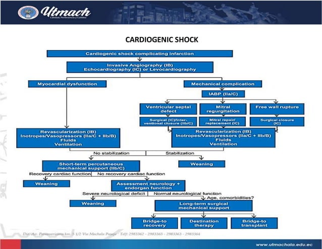 Cardiogenic shock algorithm | PPT