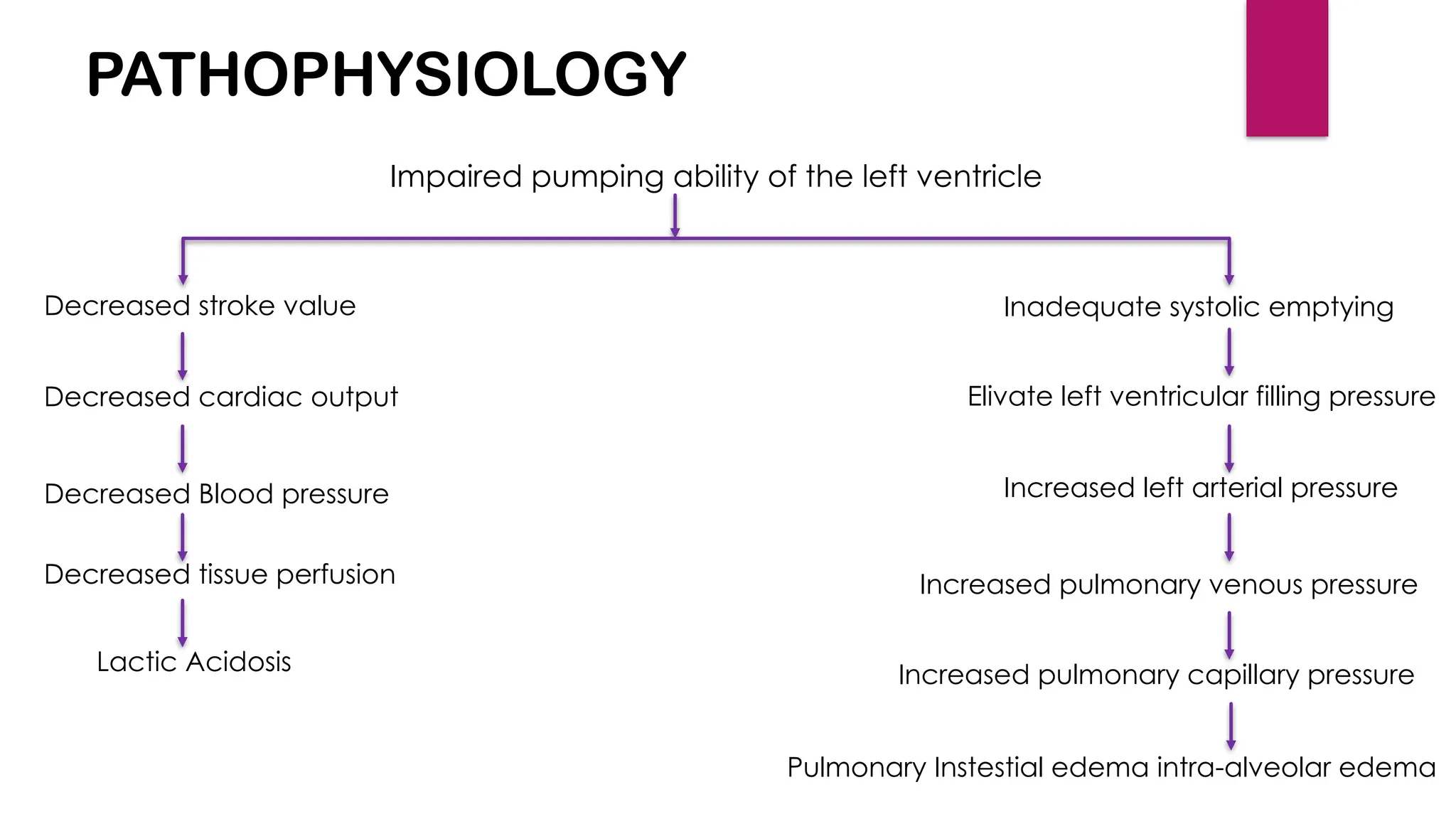 * Cardiogenic Shock - PowerPoint Presentation. | PPTX