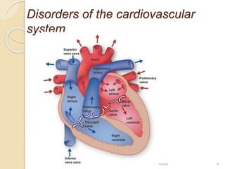 CARDIO LECTURE 1.pptx