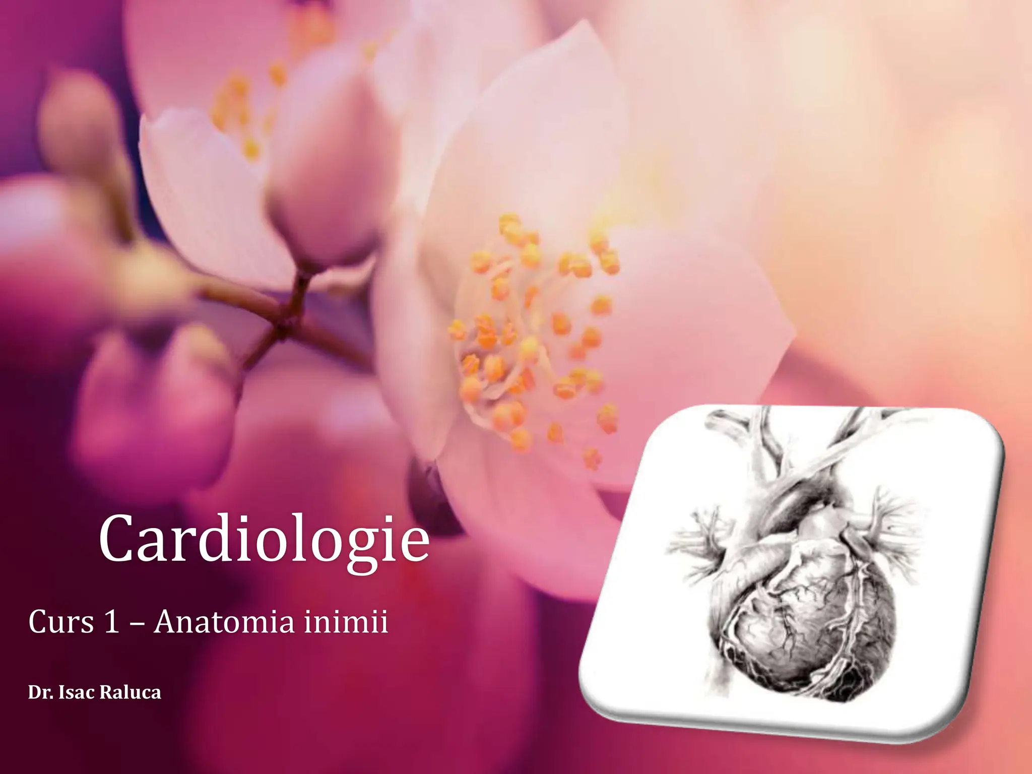 Cardiologiee_Curs_1_Anatomiaa_inimii.pptx