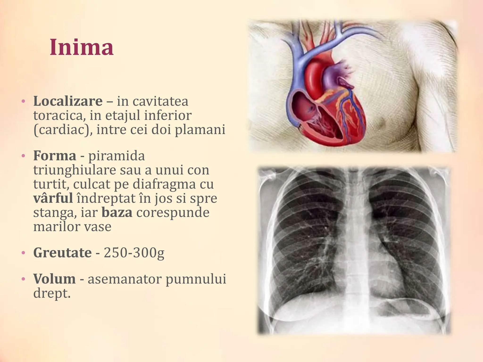 Cardiologiee_Curs_1_Anatomiaa_inimii.pptx