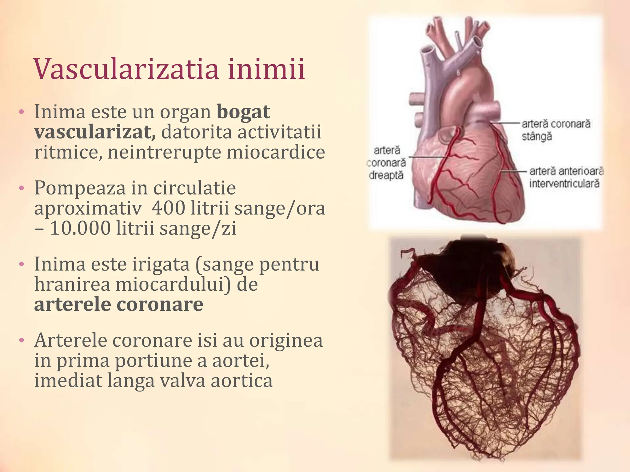 Cardiologiee_Curs_1_Anatomiaa_inimii.pptx