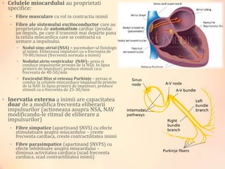 Cardiologiee_Curs_1_Anatomiaa_inimii.pptx