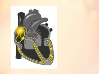 Cardiologiee_Curs_1_Anatomiaa_inimii.pptx