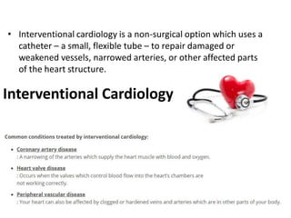 B.Sc Cardiovascular Technology(CVT) | PDF
