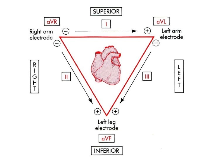Cardiology Student Notes