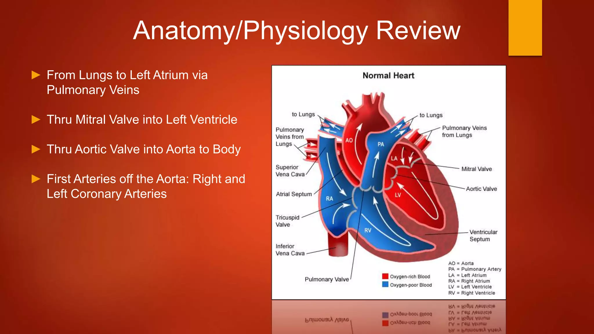 Cardiology 101 back to the basics | PPTX
