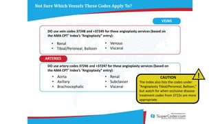 CPT® 2017 At-A-Glance: Transluminal Balloon Angioplasty | PPT