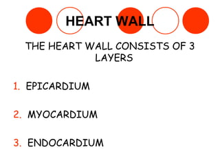 Cardiology (ecg) | PPT | Heart and Cardiovascular Diseases | Diseases ...